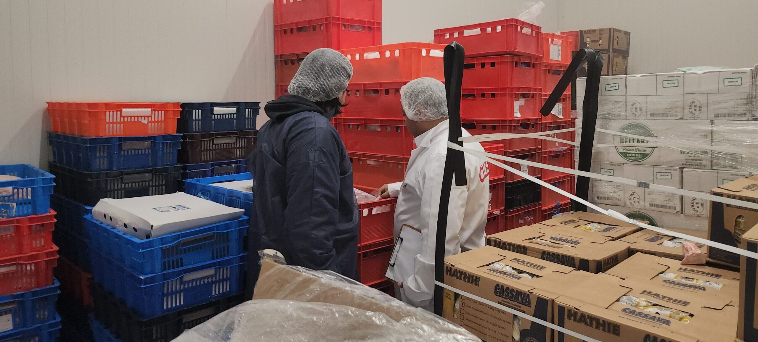 Our services - EHatec